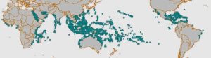 Where Are Coral Reefs Located & Found? | Coral Reef Information